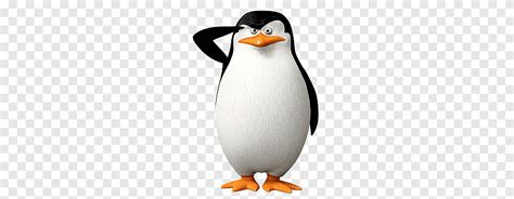 Madagascar Penguins Madagascar Penguins Png Pngegg