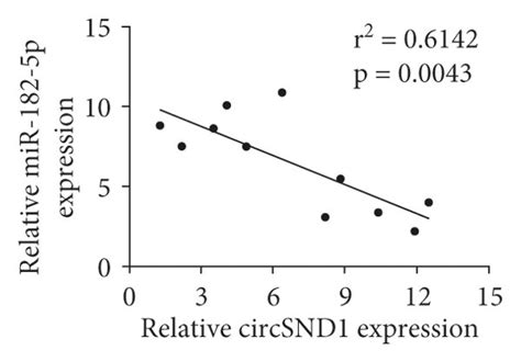 Mir 182 5p Is A Direct Binding Target Of Circsnd1 A Quantitative