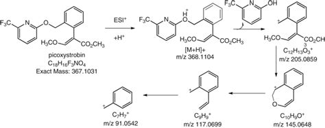 Chemical Structure And Esi⁺‐msms Fragmentation Pathways Of Picoxystrobin Download Scientific