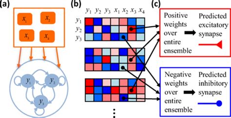 Geometric Framework Predicts Structure From Neural Functions Geometry