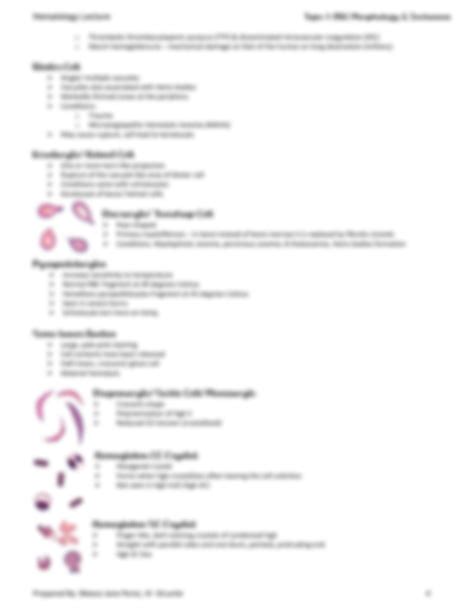 Solution Rbc Morphology And Inclusions Studypool