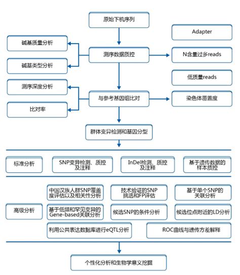 基因组学｜全基因组测序wgs 知乎