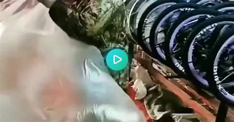 Work Smart Not Hard Album On Imgur