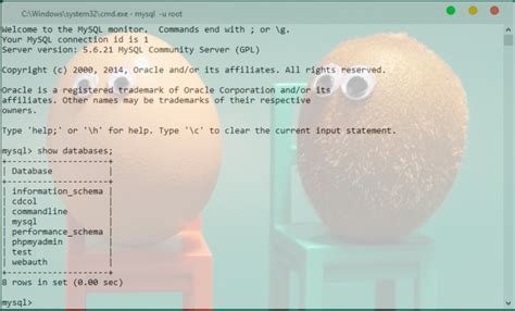 Membuat Tabel Relasi Database Mysql Dengan Cmd Dan Xampp Faidl