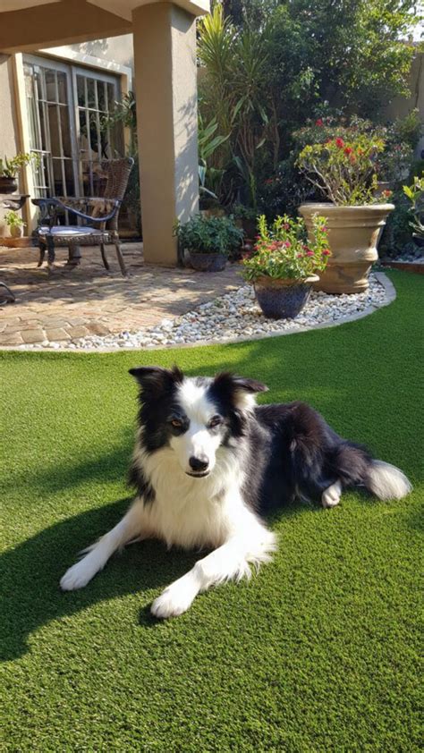 Drainage Rate Artificial Grass Lawnking Gardens® Instant Lawn