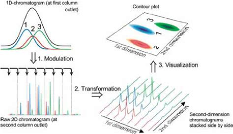 Generation and visualization of a GC x GC chromatogram From Dallüge et Download Scientific