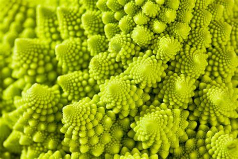 Fibonacci Fractals Of Broccoli Romanesco R Oddlysatisfying