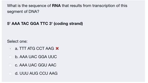 Solved What Is The Sequence Of RNA That Results From Chegg