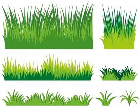 Tải Cỏ Vector đẹp File Ai Eps Svg Psd Png  Jpeg Miễn Phí