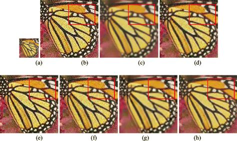 The Details Display Of Reconstructed Butterfly Images By Up Scaling