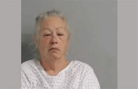 Intoxicated 65 Year Old Connecticut Woman Shoots 39 Year Old Man Watching Toy Story With 12 Year