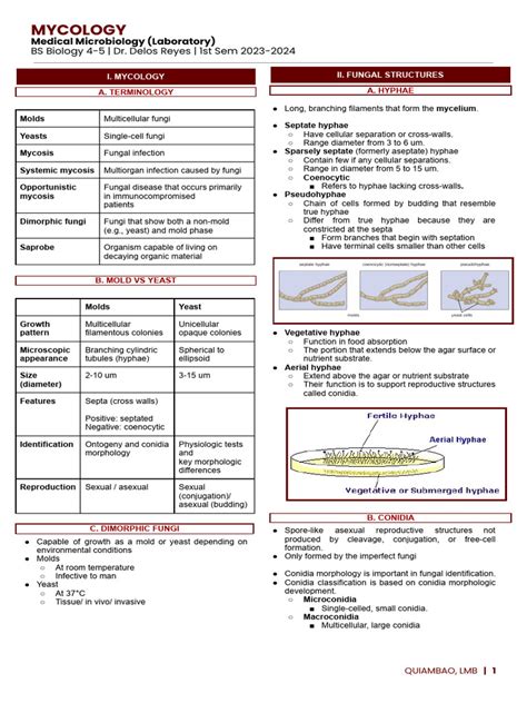 Mycology Pdf Fungus Sexual Reproduction