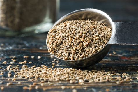 What Is The Difference Between Celery Salt Vs Celery Seed