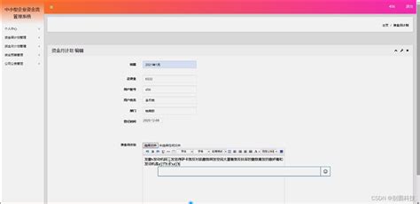 Java毕设项目中小型企业资金流管理系统（javavuemybatismavenmysql）项目资金管理系统要分管理端后端前端 Csdn博客