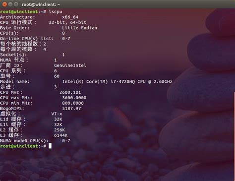 如何在linux上使用命令行查看硬件信息 系统极客
