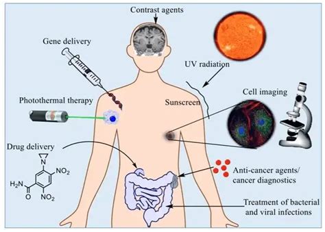 Exploring The Implications Of Magnetic Nanoparticles In Cancer Detection The News Mention