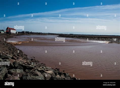Petitcodiac River Tidal Bore At Zelma Harvey Blog
