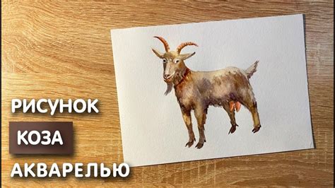 Как нарисовать козу карандашом и акварелью начинающим Рисунок для детей Youtube