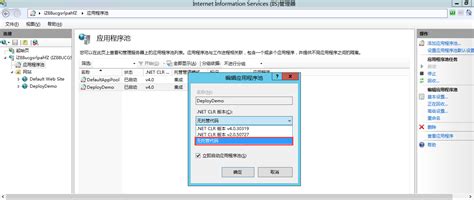 发布 net core详细步骤 net core 发布 CSDN博客