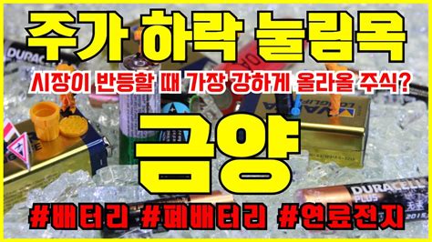 금양 주식 전망 금양 주가 전망 금양 시간외 금양 상한가 주가 하락 눌림목 공략법 배터리 관련주 연료전지 관련주 폐배터리 관련주 Youtube