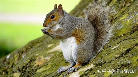 日本留学是玄学吗?说说我的经验总结 知乎 日本留学是玄学吗?说说我的经验总结 知乎