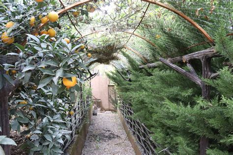 دریاچه شورمست در سوادکوه استان مازندران اقامتگاه بومگردی دامون باغ