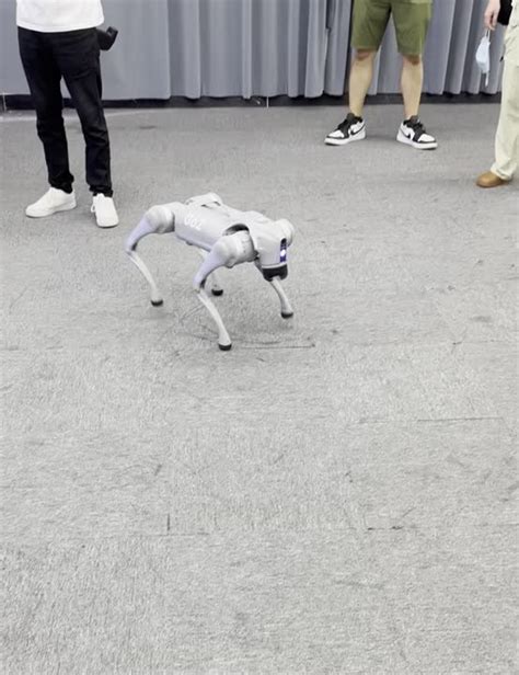 Simon Iacob On Linkedin Robotics Innovation Ai Automation