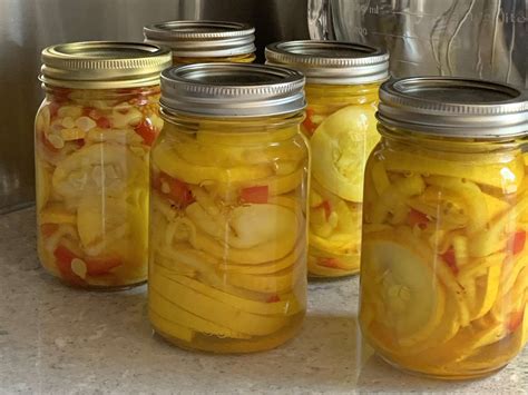 Pickled Squash Recipe