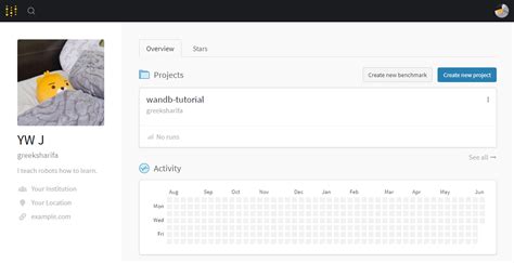 weight and biases wandb 사용법 wandb 설치 및 설명