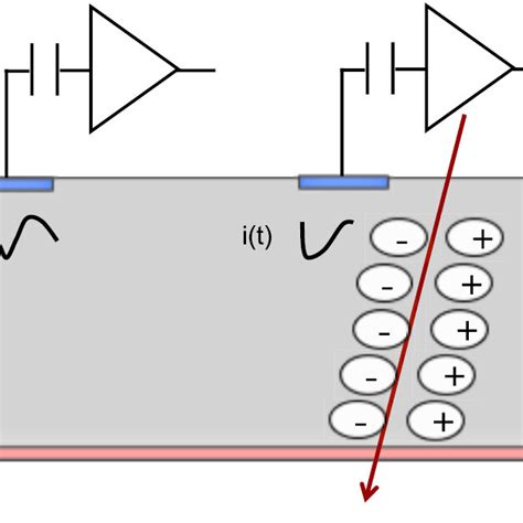 Basic Operational Principles Of A Silicon Detector An External Bias Download Scientific