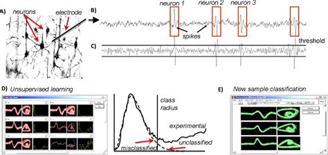 Figure 3 From Oscillatory Models For Biological Signal Processing And Pattern Recognition