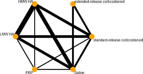 Function Network Diagram Download Scientific Diagram