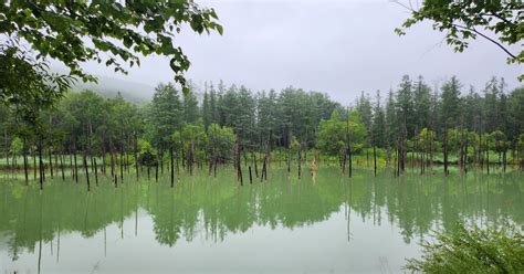 더 나은 나 더 나은 삶