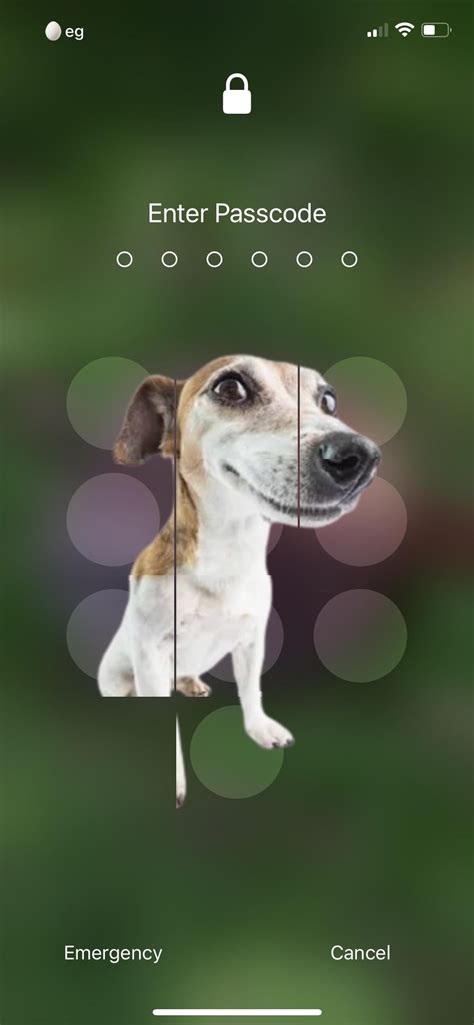 The Best Passcode Theme Rtrollstore