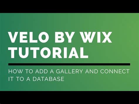 Velo By Wix Tutorial How To Add A Gallery And Connect To A Database