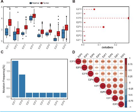 Figure 1 From Expression Patterns Of E2fs Identify Tumor Microenvironment Features In Human