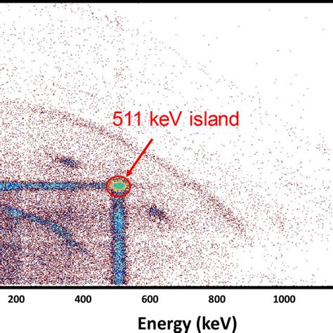 A 2d Histogram Showing The Pulse Height In Each Nai Detector For