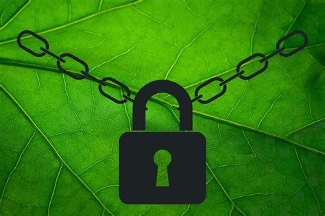 network transport encryption for mongodb