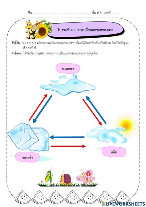 วิทยาศาสตร์ ป 5 เรื่อง การเปลี่ยนสถานะของสาร Worksheet