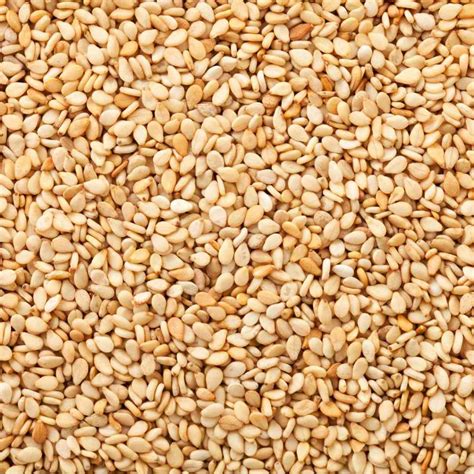 Raspberry Seeds 100g