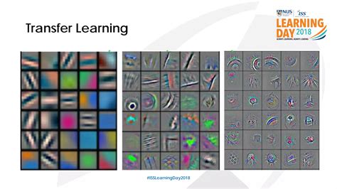 Nus Iss Learning Day 2018 Abnormality Classification Using Convolutional Neural Networks On