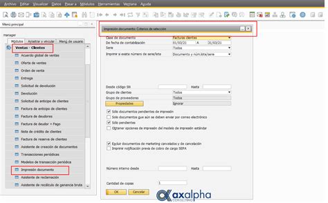 SAP BO Imprimir Facturas En Un Pdf Con Query SAP Business One