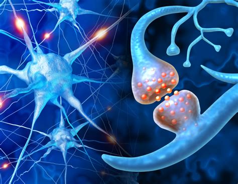 Understanding Brain Plasticity How Your Mind Adapts Bay Area Cbt Center