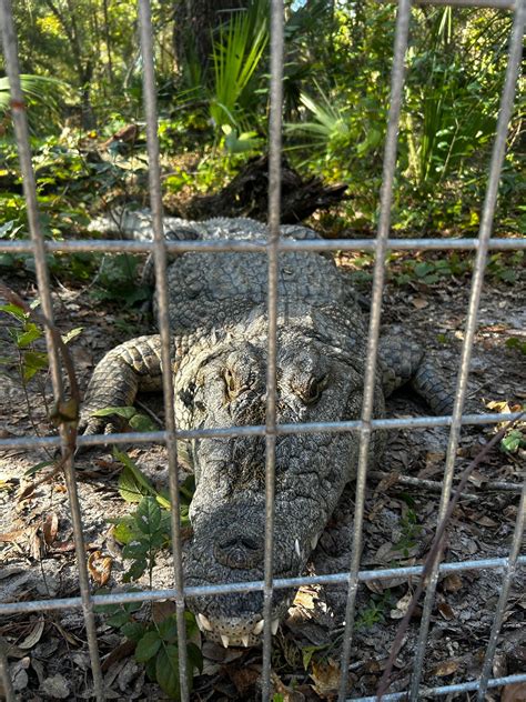 Chris Gillette Chris Gillette Added A New Photo