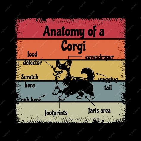 Premium Vector Anatomy Of A Corgi T Shirt Design Vector