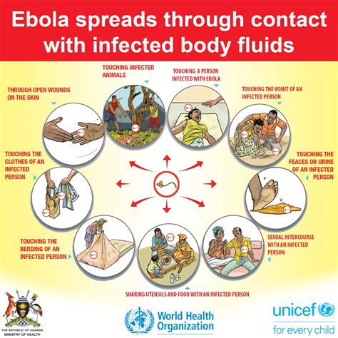 Ebola Virus Disease Evd Unicef Uganda