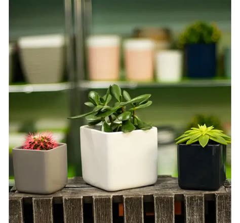 Кашпо для квітів керамічне Horti 2 л білий O 39 13 J 15 00 купити у Києві ціни відгуки Elsa