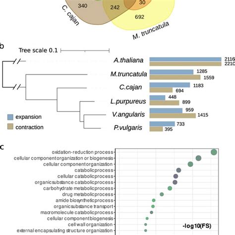 Gene Families In Lablab A Venn Diagram Of The Number Of Gene Families