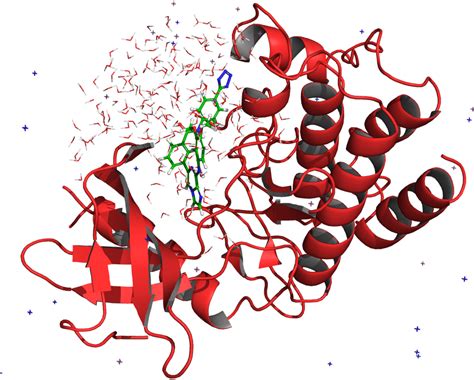Enzymes Structure Of An Enzyme And Their Use Chemistry