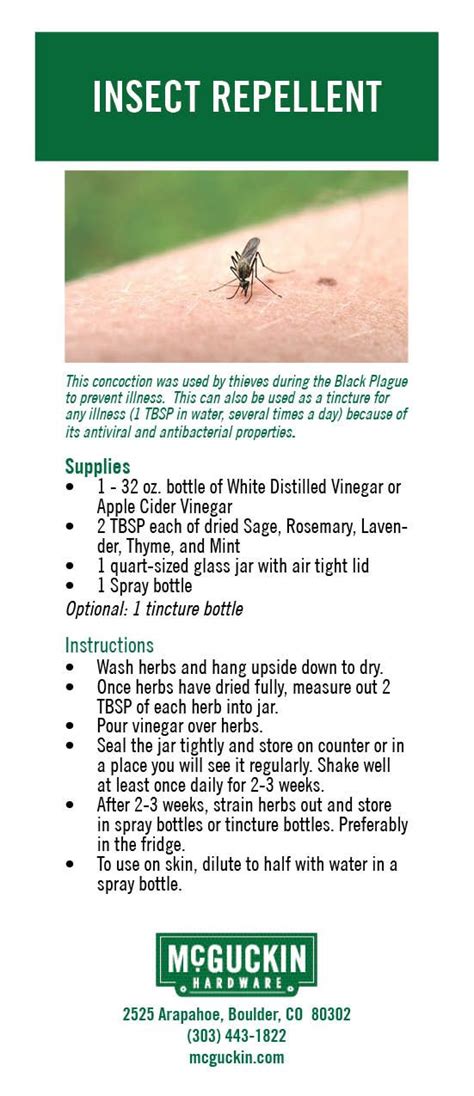 Diy Insect Repellent Keep Bugs Away With Household Items